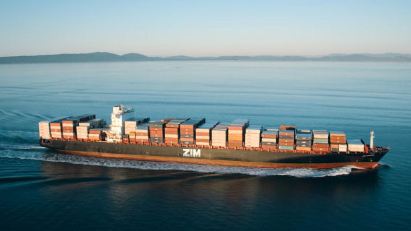 Is Zim Line up for grabs? | Freight News