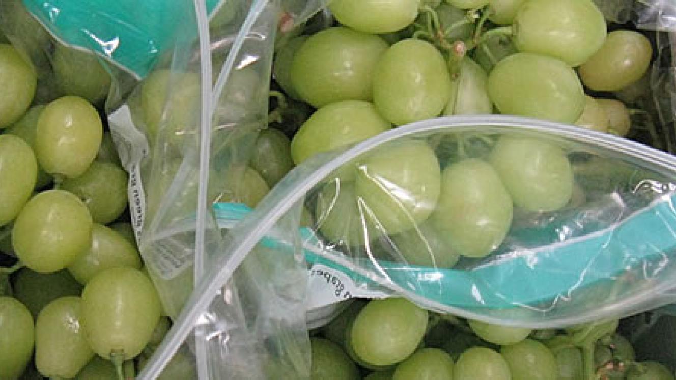 Investigation under way following Customs stop of SA table grapes in ...