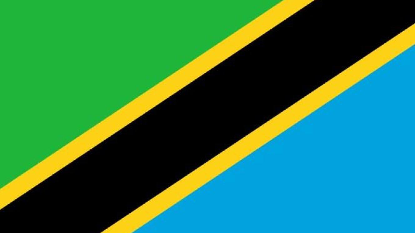 Tanzania to shut down loss-making state-owned enterprises | Freight News