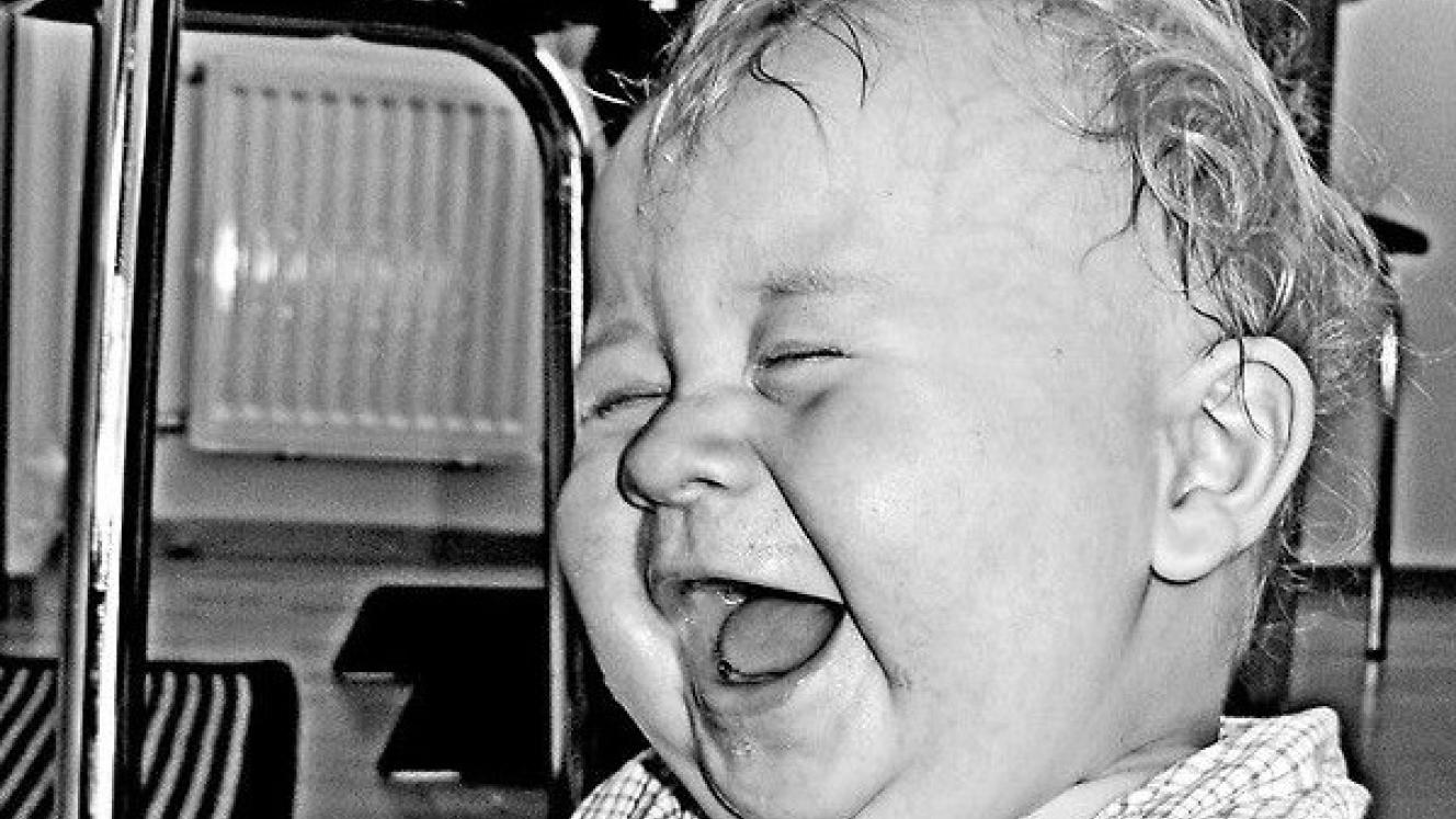 The Lighter Side | Freight News