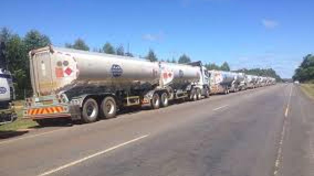 Zim government finally tackles Forbes border post congestion | Freight News