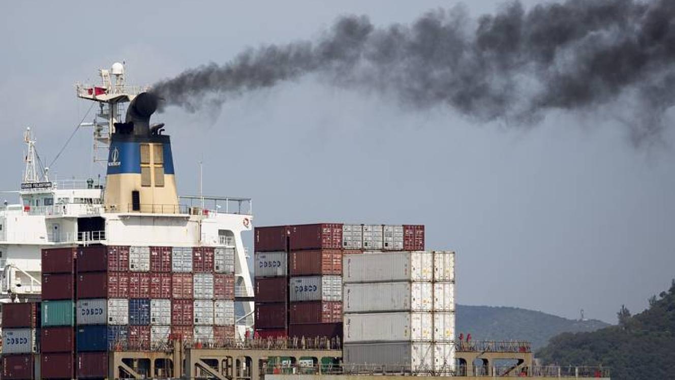 IMO called on to slow vessels down | Freight News