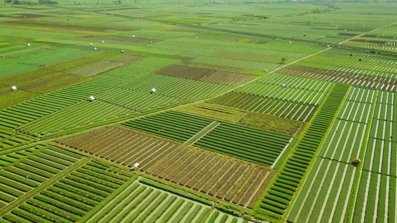 Land expropriation without compensation ‘short-sighted’ – union ...