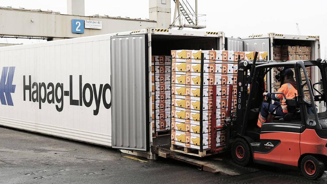 Proposed port levies – ‘funds must be ring-fenced’ | Freight News